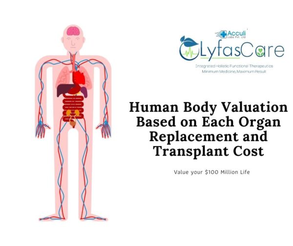 How Much Does an Organ Transplant Cost Makes Human Life Insanely High ...