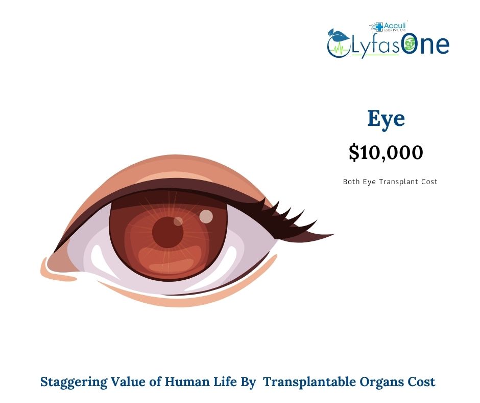 How Much Does an Organ Transplant Cost Makes Human Life Insanely High ...