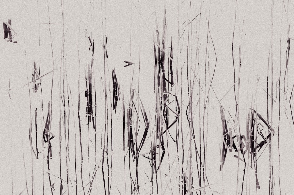 How to Recover from Obsessive Hyper-perfectionism Using Wabi-Sabi the ...
